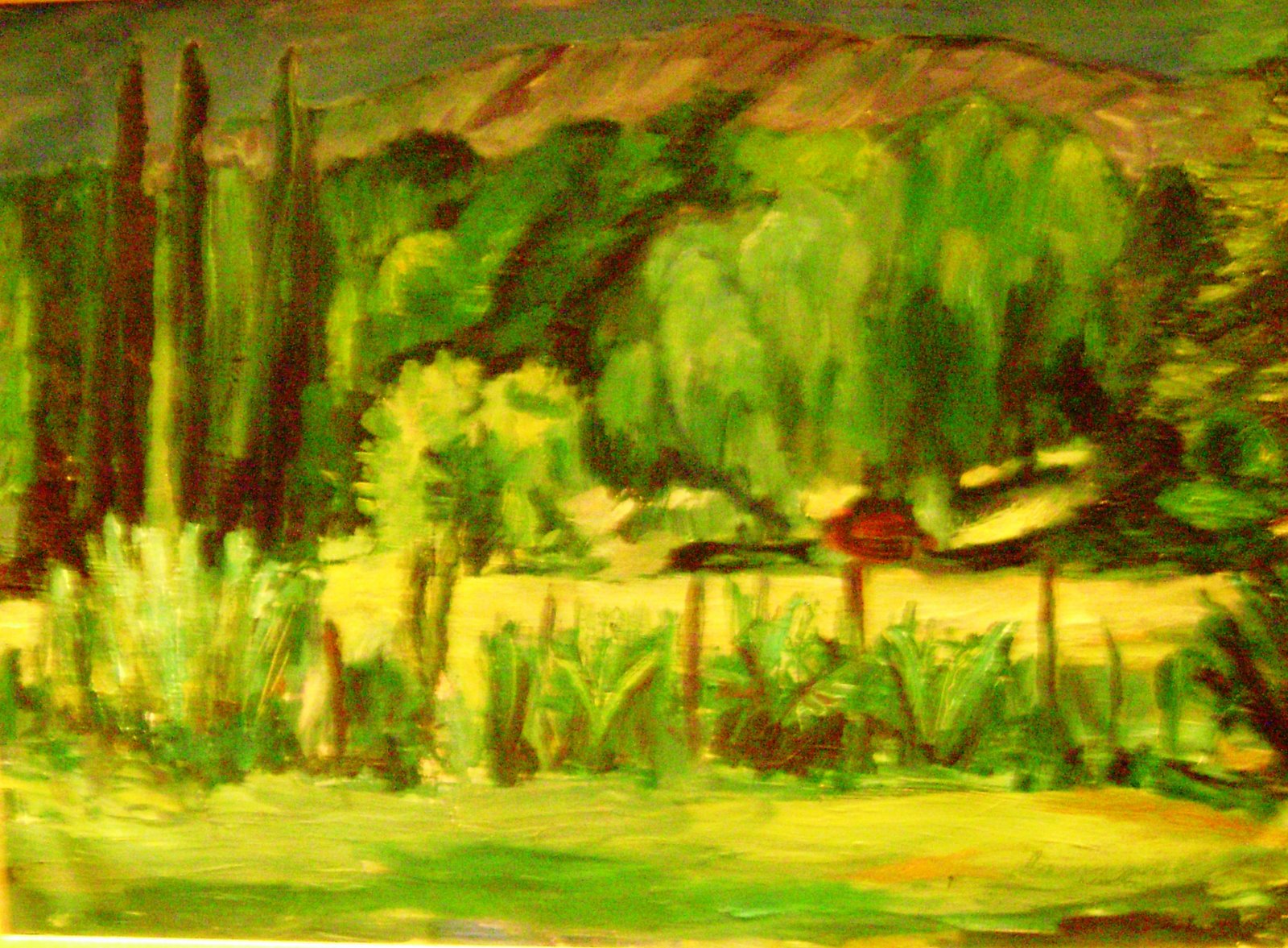 Album de Laura Cabral