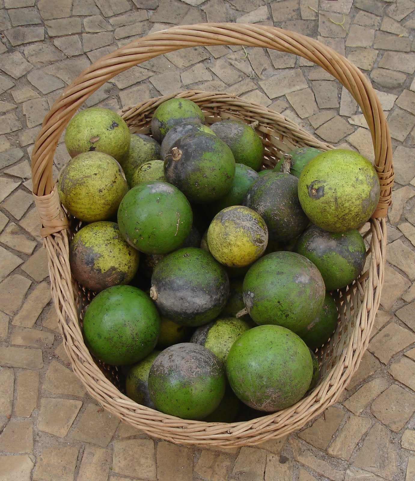 SABOR DE MABOQUE: Maboques brasileiros