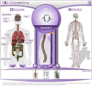 YUSAMED: 3D Spine Simulator