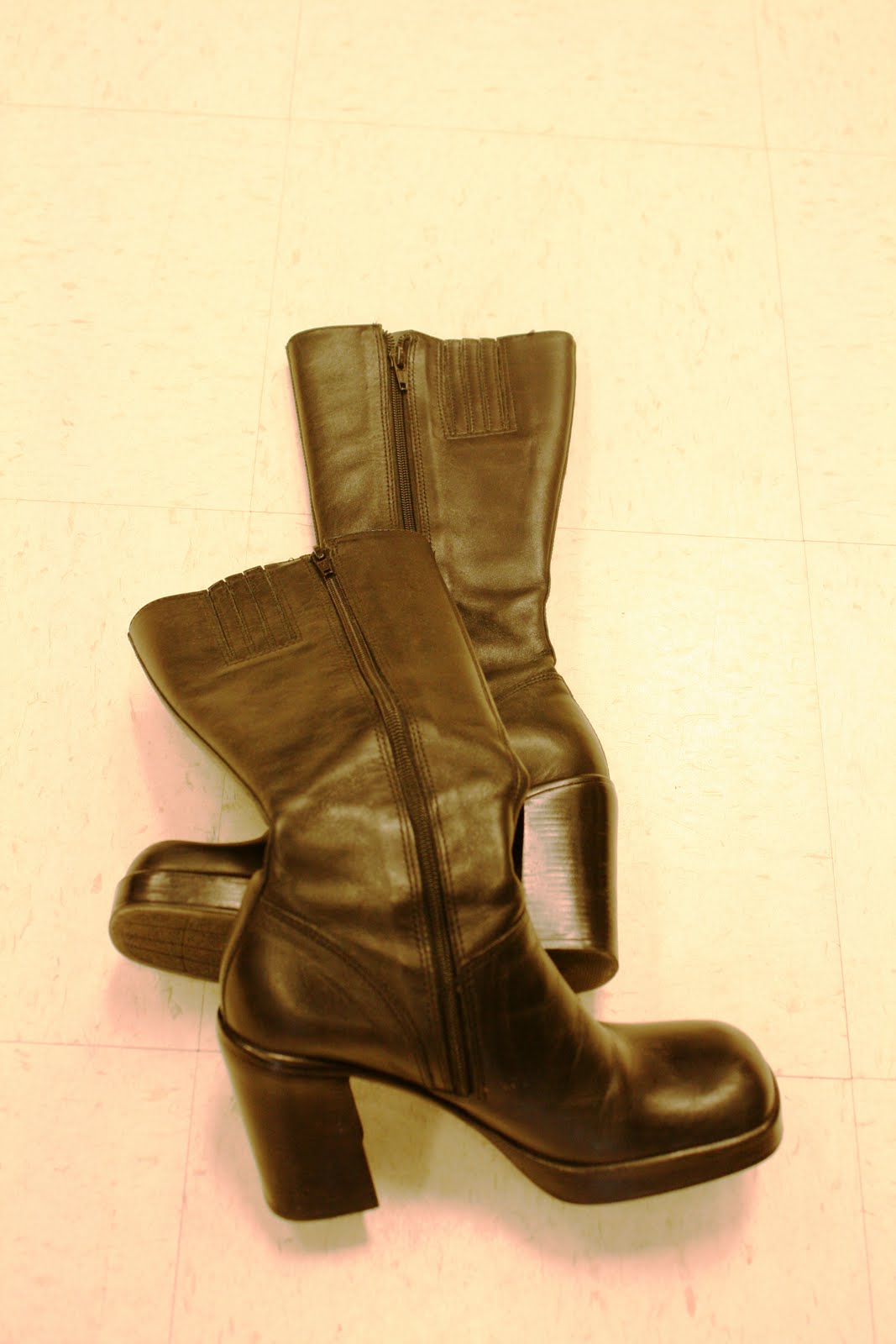 A Little Junk In My Trunk: The Munsters