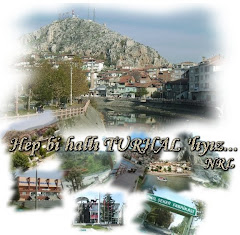 TURHAL: TURHAL NÜFUSU