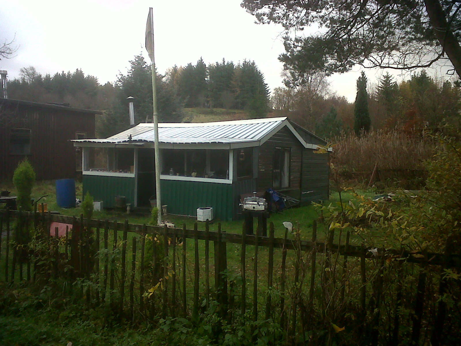 Walk this way...............: Carbeth Huts, 13th November 4.8k (3 miles)