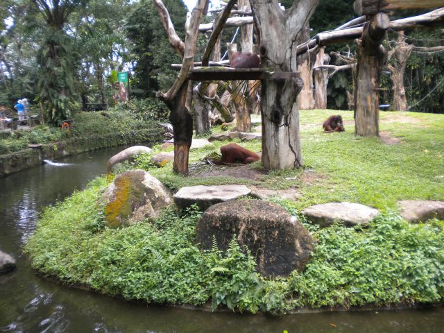 Viagem Incógnita: O Zoo e Sentosa