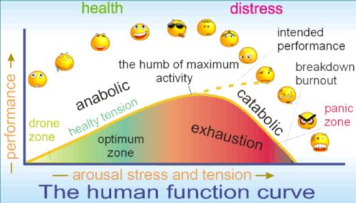 The Stress Response: Stress Response Generally