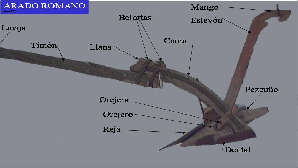 Geografía e Historia: Innovaciones técnicas en la agricultura medieval.