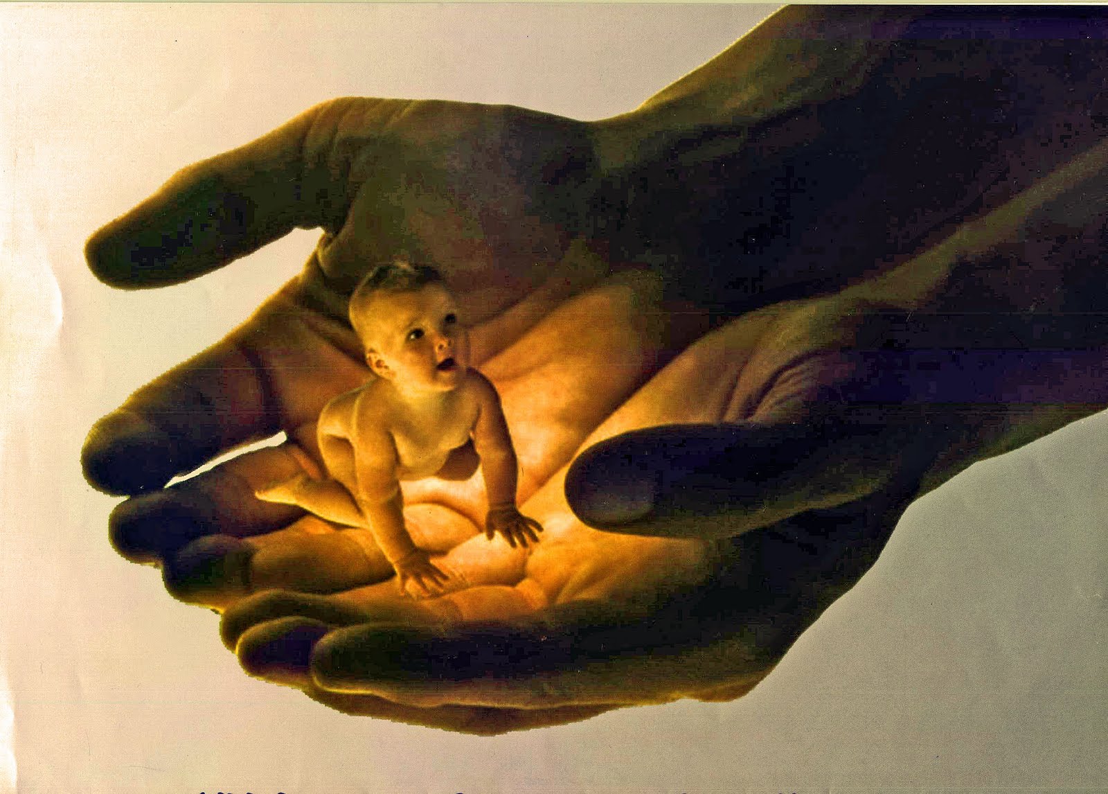 Mi Destino ♥: El Valor de la Vida Humana