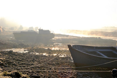 viajes y fotos: Chile - Carretera Austral - Hornopiren