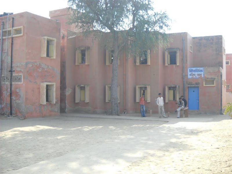JAWAHAR NAVODAYA VIDYALAYA SARDARSHAHR CHURU: photo collection