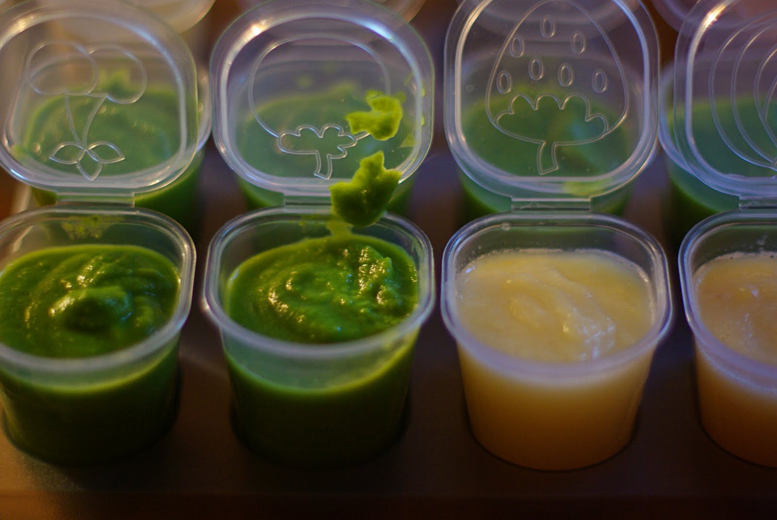 Letters to the Baby Lotus Bud: Eight Months