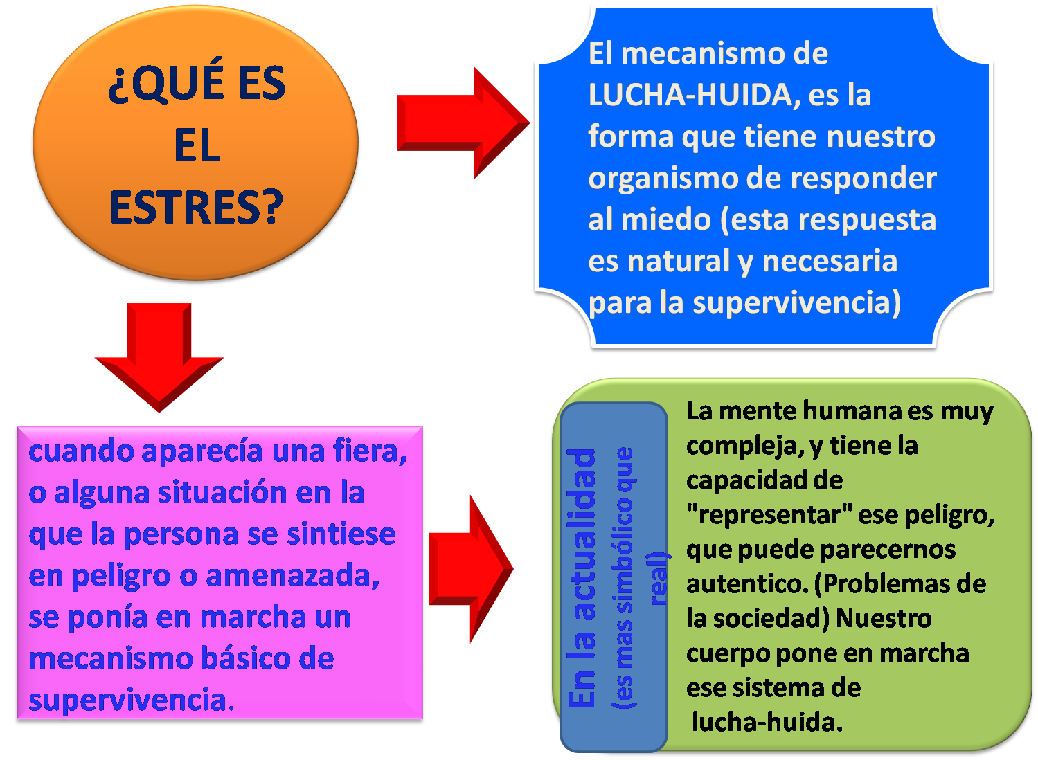 milagritos: EL CONTROL DEL ESTRES Y EL MCANISMO DEL MIEDO
