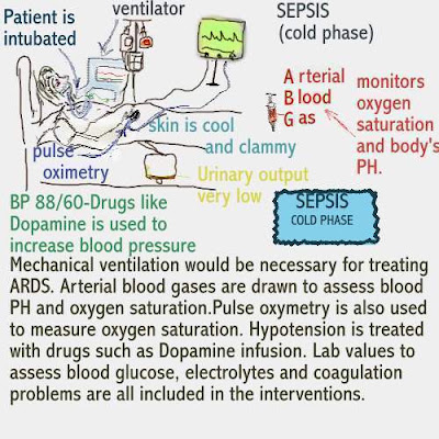 Dear Nurses: SEPTIC SHOCK ( COLD PHASE)