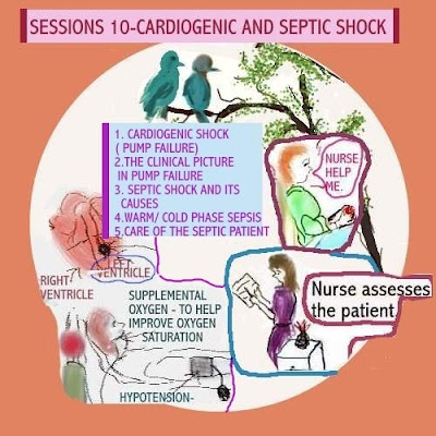 Dear Nurses: CARDIOGENIC AND SEPTIC SHOCK