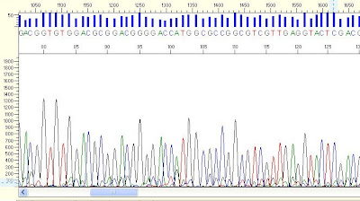 Playing with Sequences: Different platforms of Sequencing...Part I