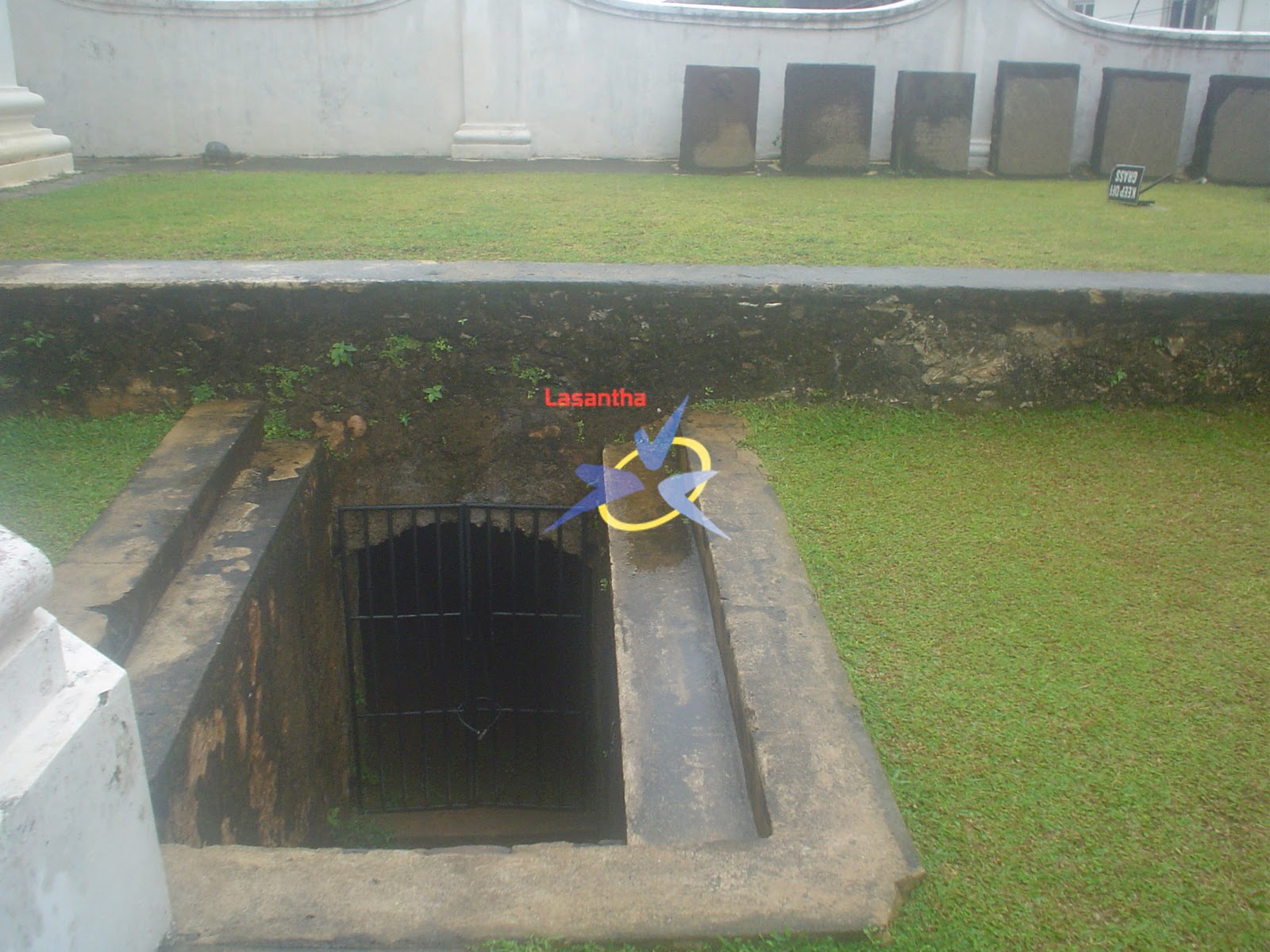 Sri Lanka Insects: Galle and Rumassala