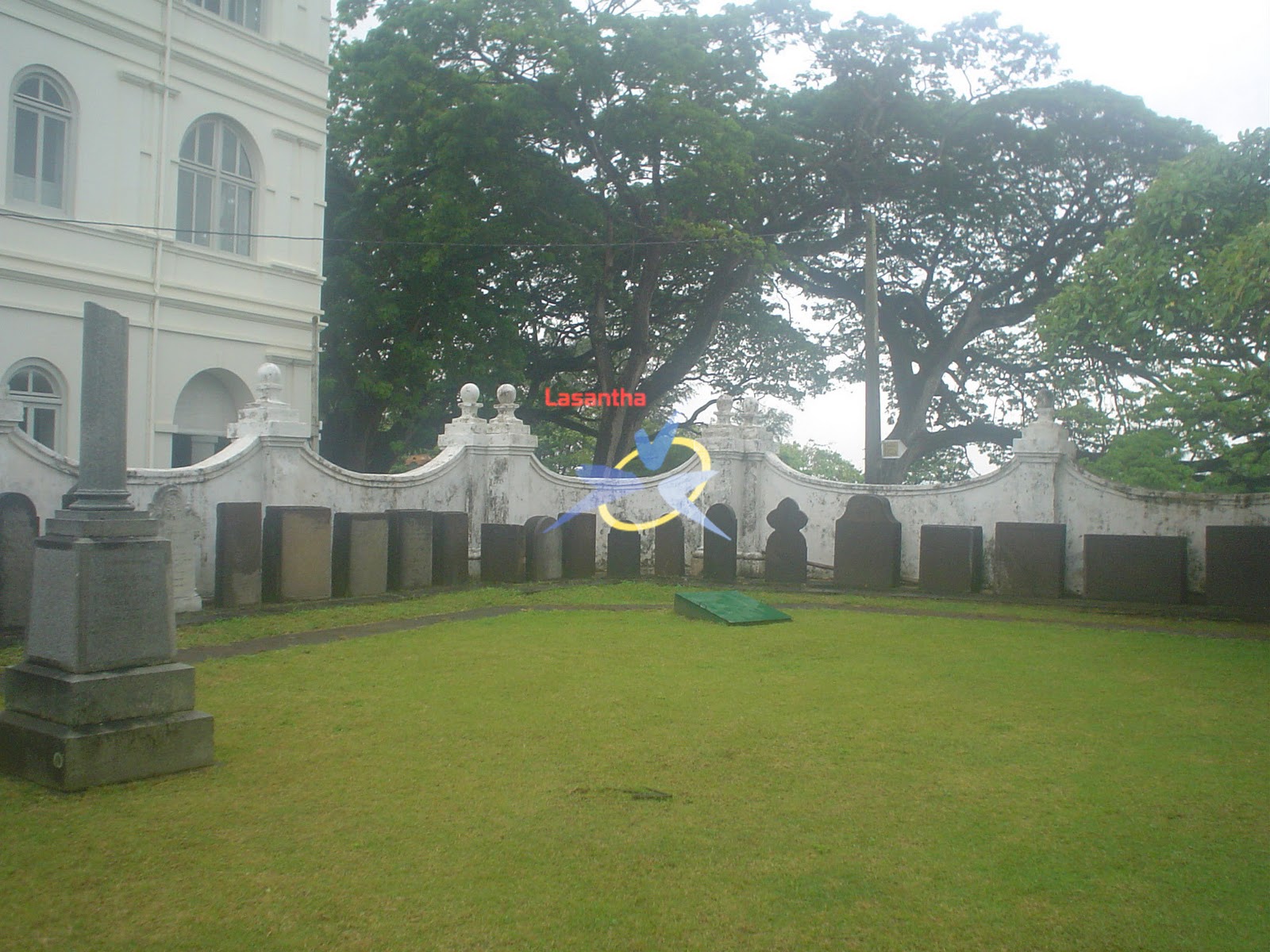 Sri Lanka Insects: Galle and Rumassala