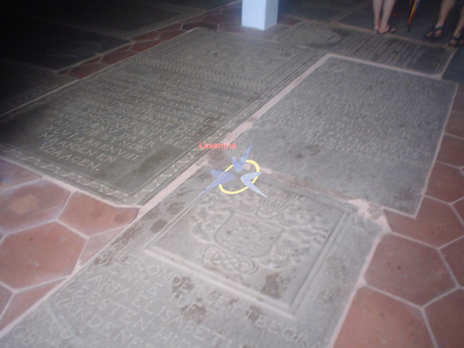 Sri Lanka Insects: Galle and Rumassala