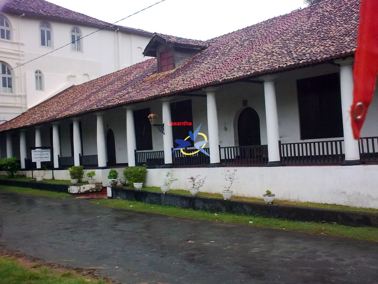 Sri Lanka Insects: Galle and Rumassala