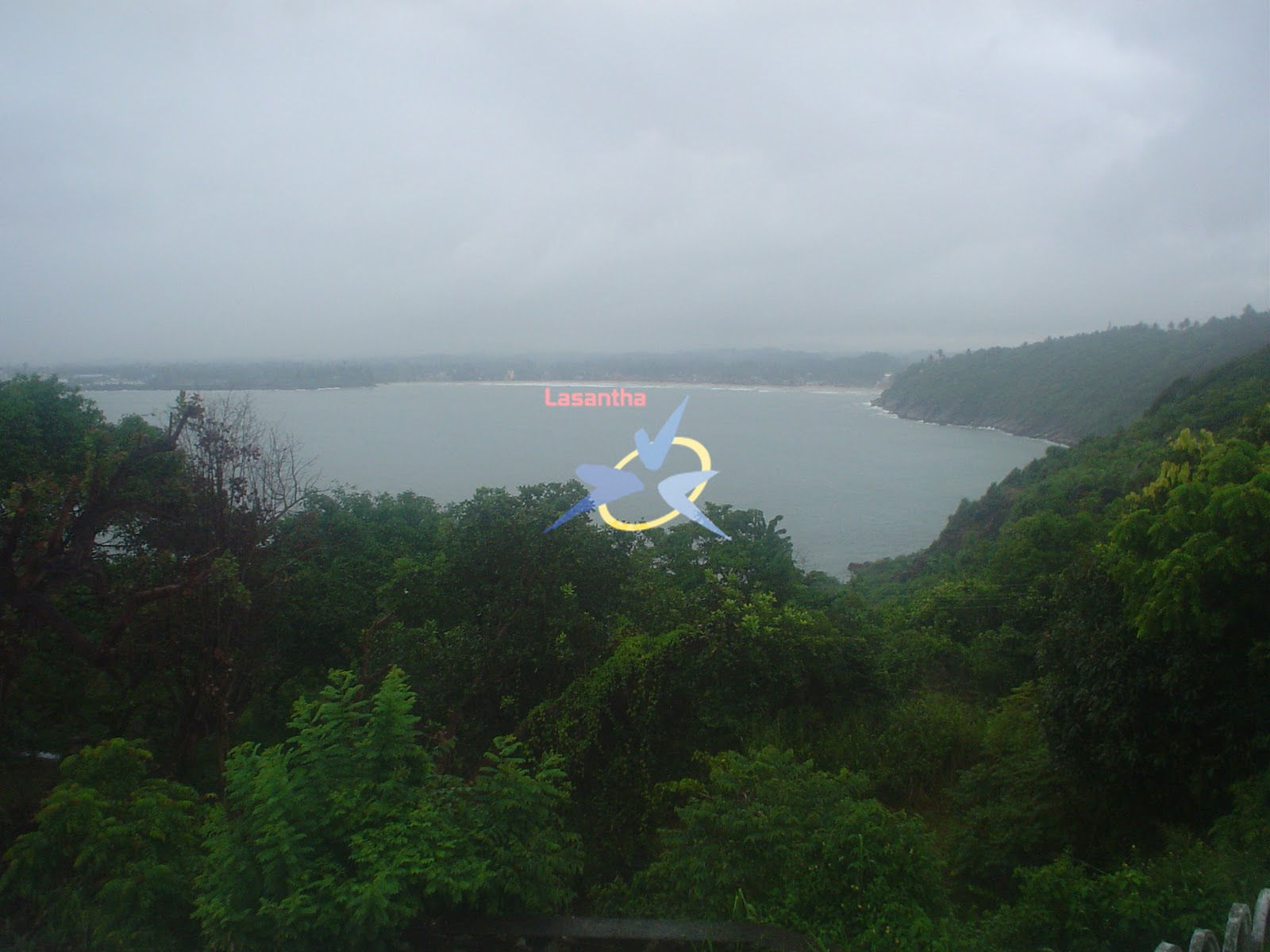 Sri Lanka Insects: Galle and Rumassala