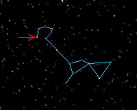 Umbra Transit: Cetus 5