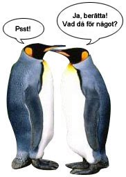 Polargrevinnan: Skvaller och strunprat.