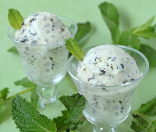 Cake or Death?: Perfect Mint Chip Ice Cream
