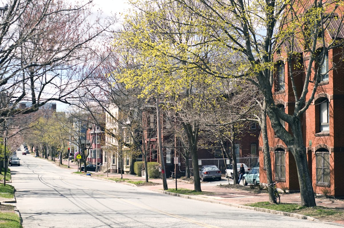 Corey Templeton Photography: Spring in the Step
