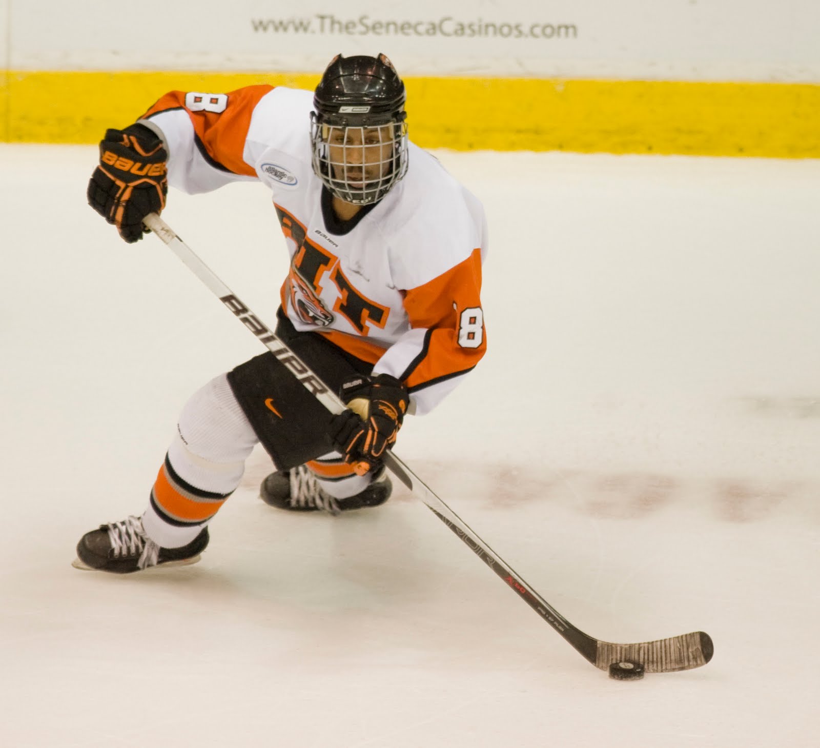 Detroit Hockey News: 04_10