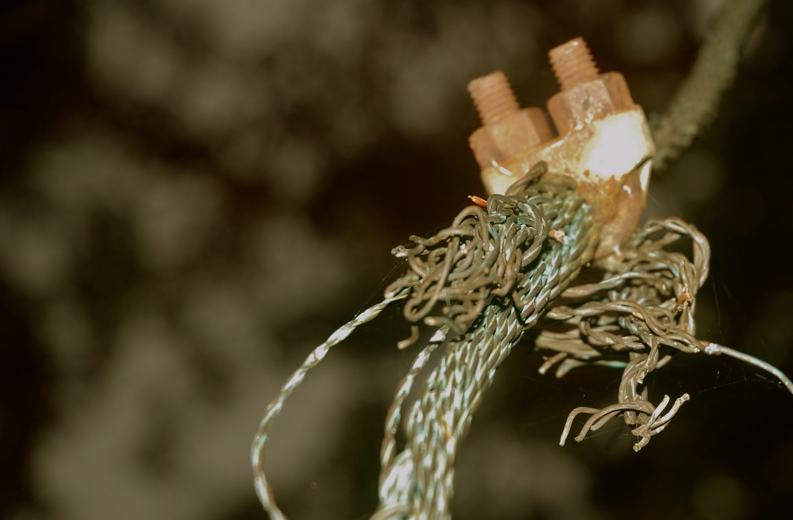 Green Chair Pictures