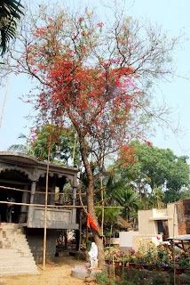 Shirdi Sai Baba Temple Information.: Shibpur Sai Baba Temple ...