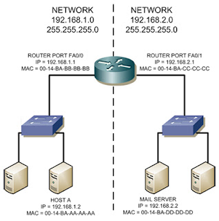 How Network Devices Communicate ~ USA Networking