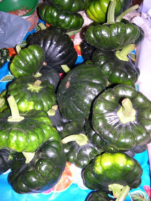 Plantas de Yucatán: Plantas de Yucatán / Tríada Maya / La Calabaza