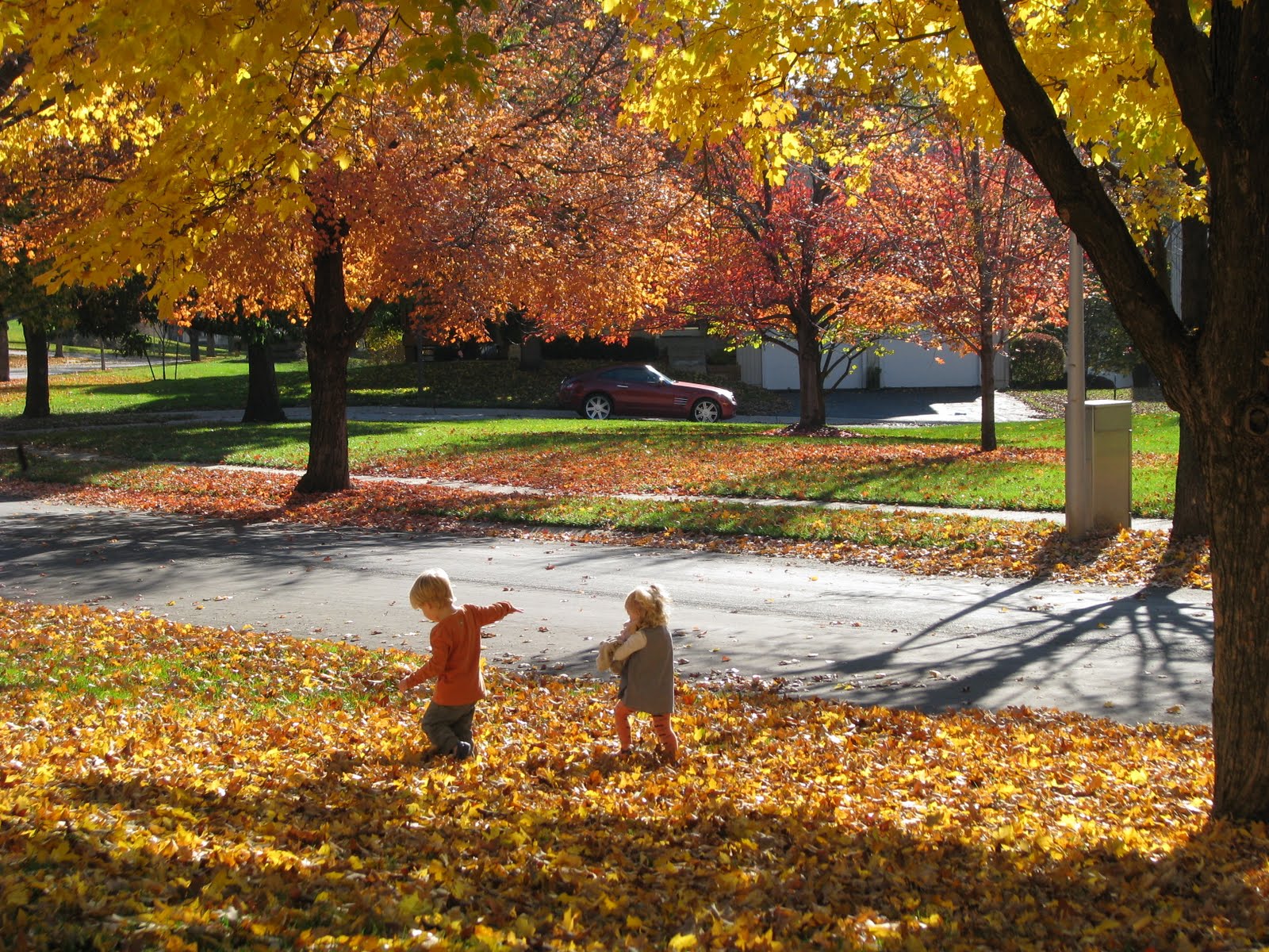 The Starnes Family: Flashback - Fall In The Midwest