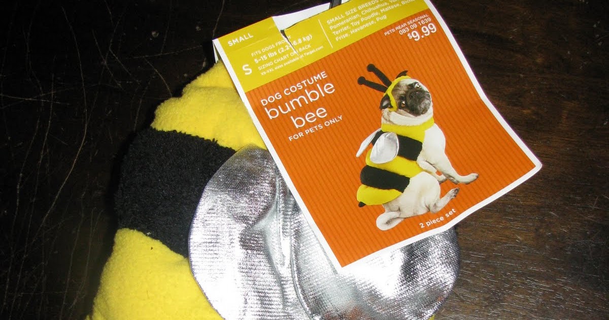 The Starnes Family: Batman, The Bumble Bee Version