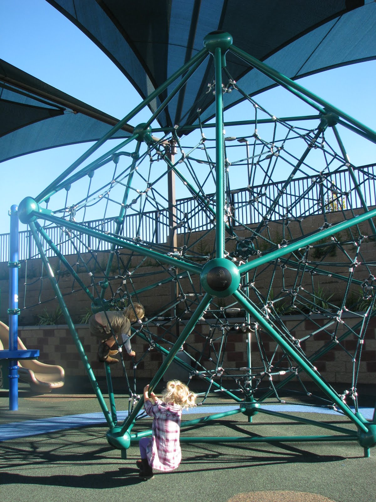 The Starnes Family: Scoop