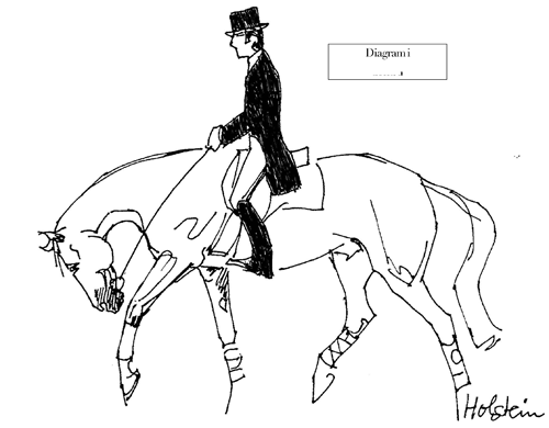 DNN: FEI Releases Warm-Up Diagrams for Dressage Steward's Manual