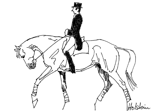 DNN: FEI Releases Warm-Up Diagrams for Dressage Steward's Manual