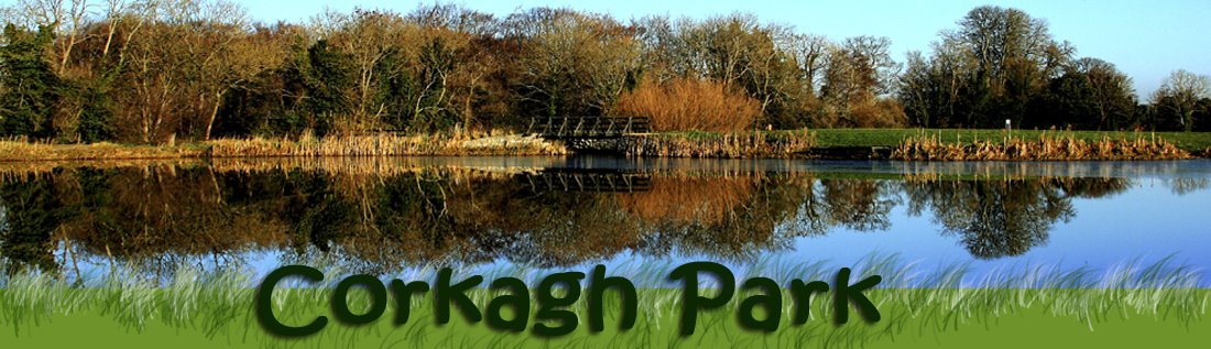 Corkagh Park: The Gunpowder mills.