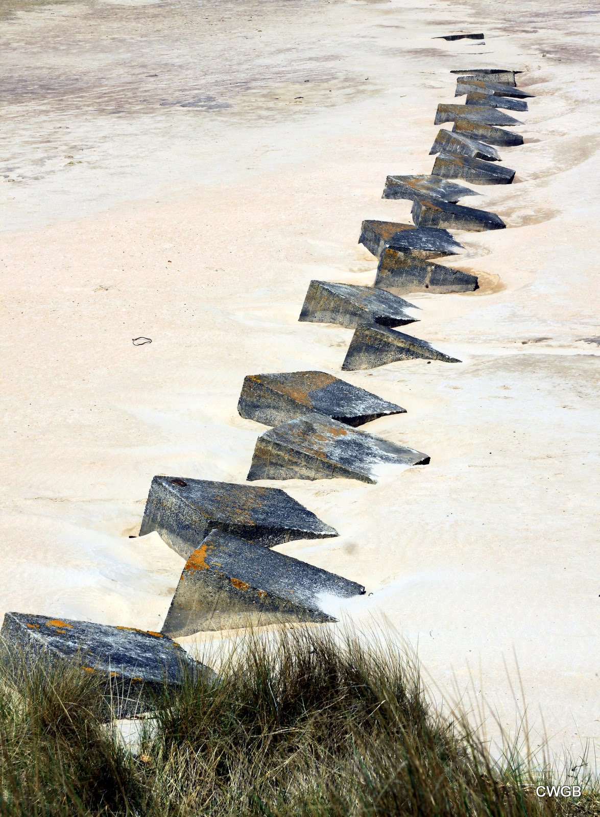 Newcastle upon Tyne and Northumberland Daily Photo: Beach defences ...