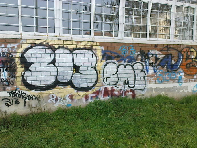 the 313 crew: Gt dikaiwma mas einai na akfrazomaste