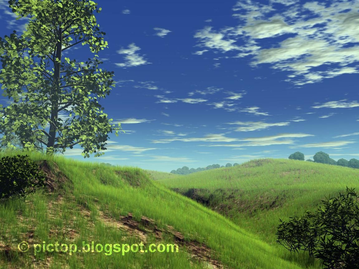 عکسینه: عکس های زیبا و عاشقانه از طبیعت