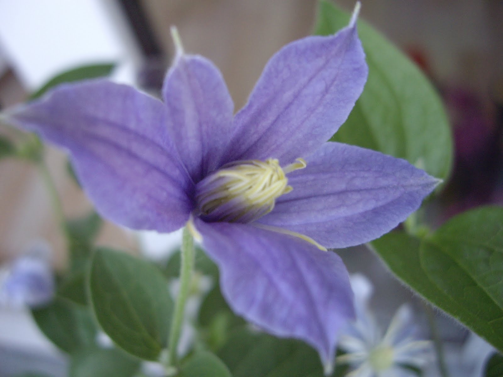 Tuesday, 20 July 2010