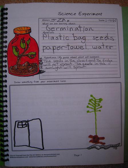 All That's Goood: Seeds, Seeds and more seeds