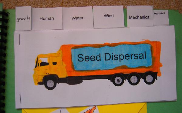 All That's Goood: Seeds, Seeds and more seeds