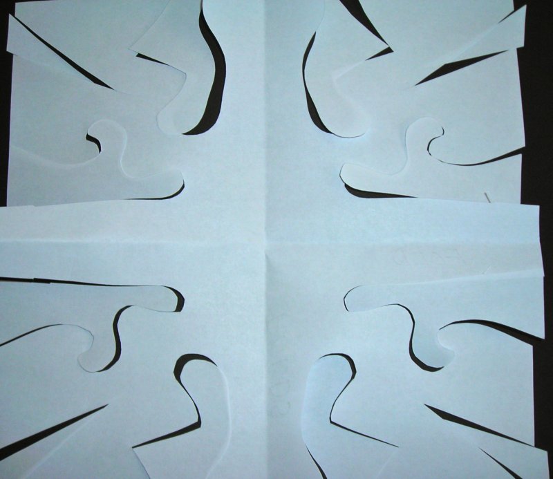 Fine Lines: Japanese Notan