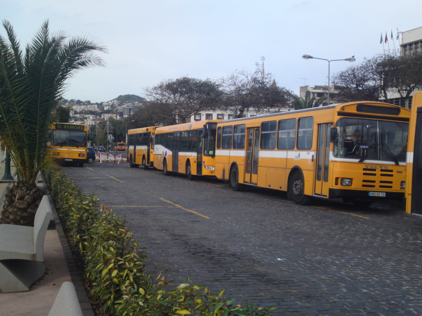 Buses from various cities in the world.: ATENÇÂO utentes da Horarios do ...