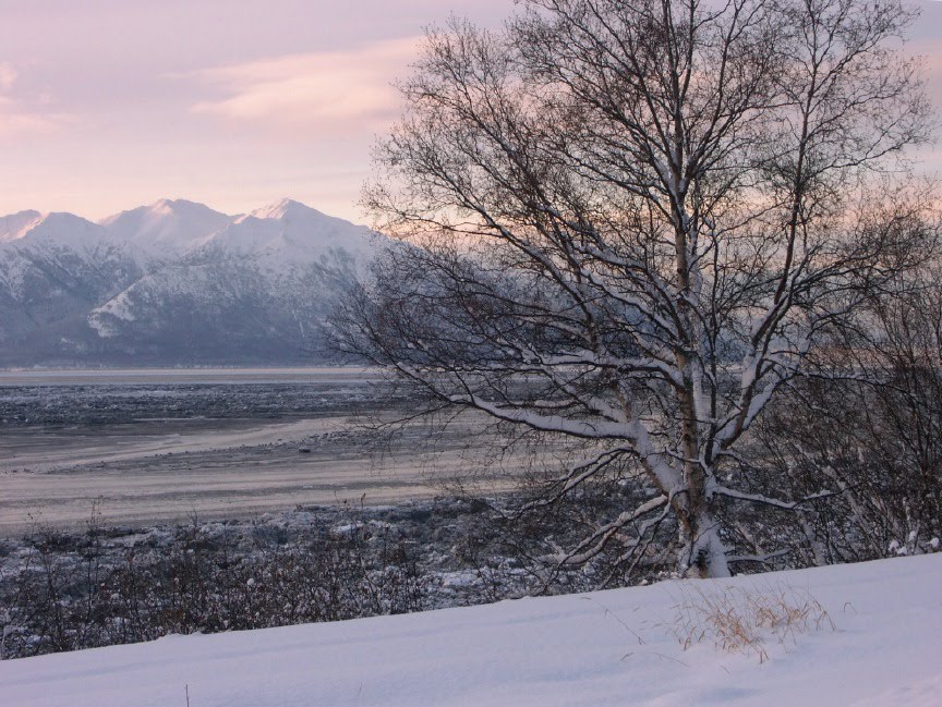 Margy's Musings: Anchorage - Other Alaska Winter Scenes for Getting Around