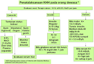 MEDIA INFORMASI KESEHATAN DAN KEDOKTERAN: KRISIS HIPERGLIKEMIK PADA DM