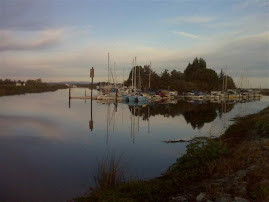 Crossroads: Twitchell Island on the San Joaquin River