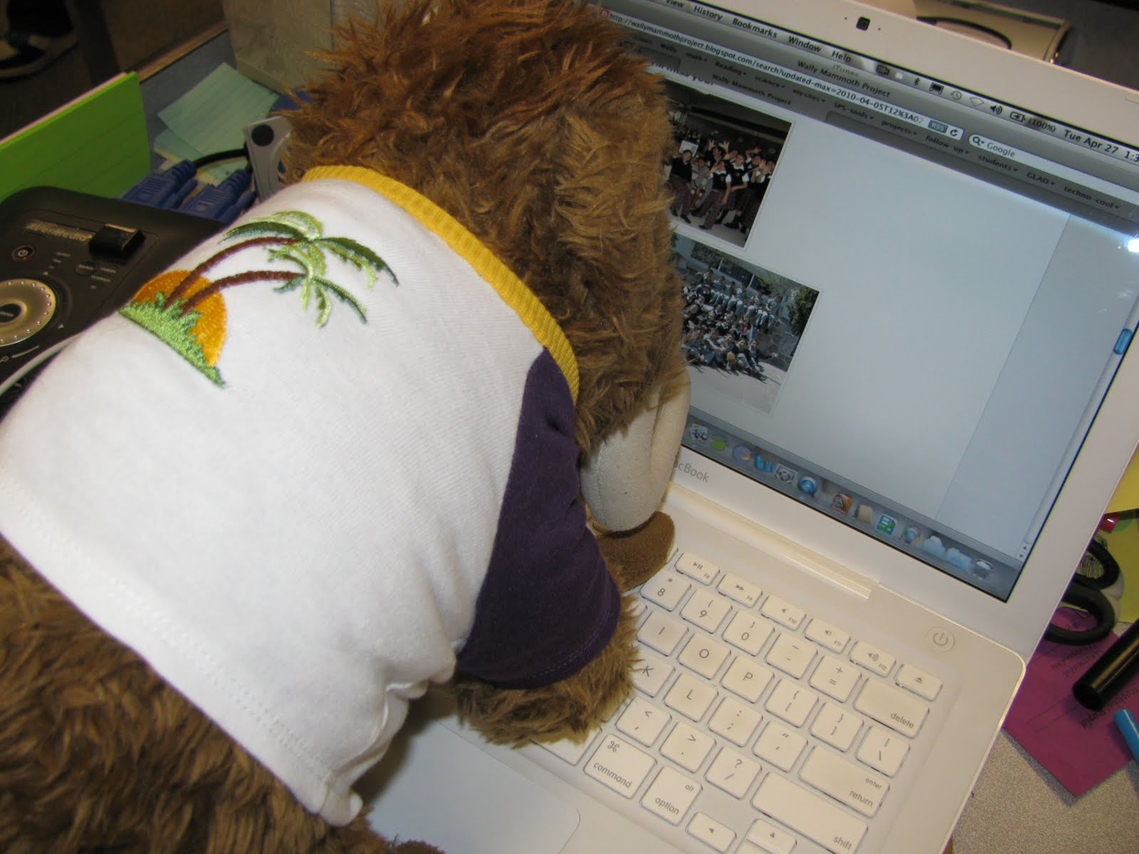 Wally Mammoth Project: April 2010