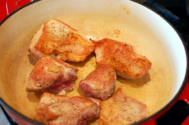 Even the Dogs are Boys: Pennette with Pork Ragù